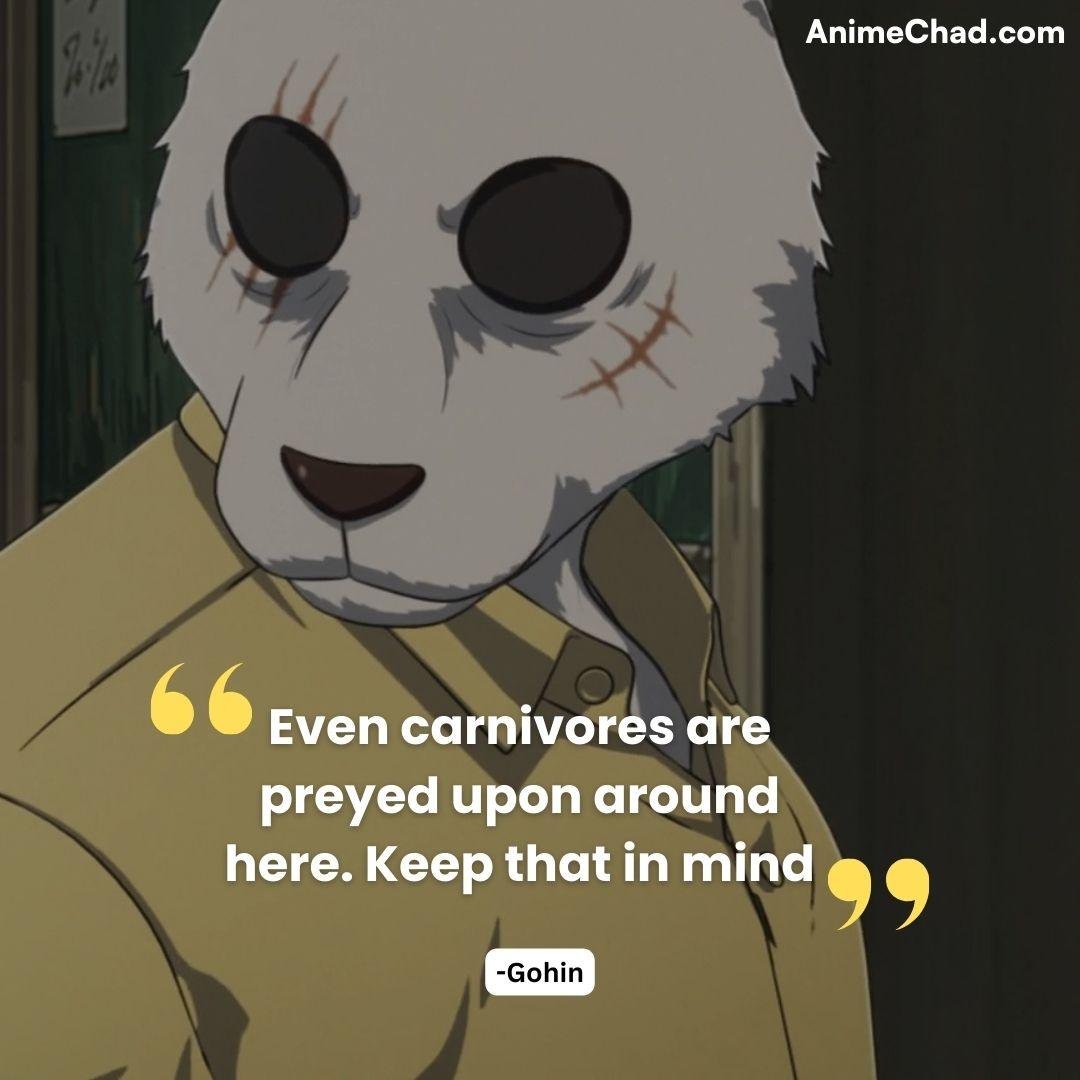 25 Iconic Beastars Quotes That We’ll Never Forget – AnimeChad