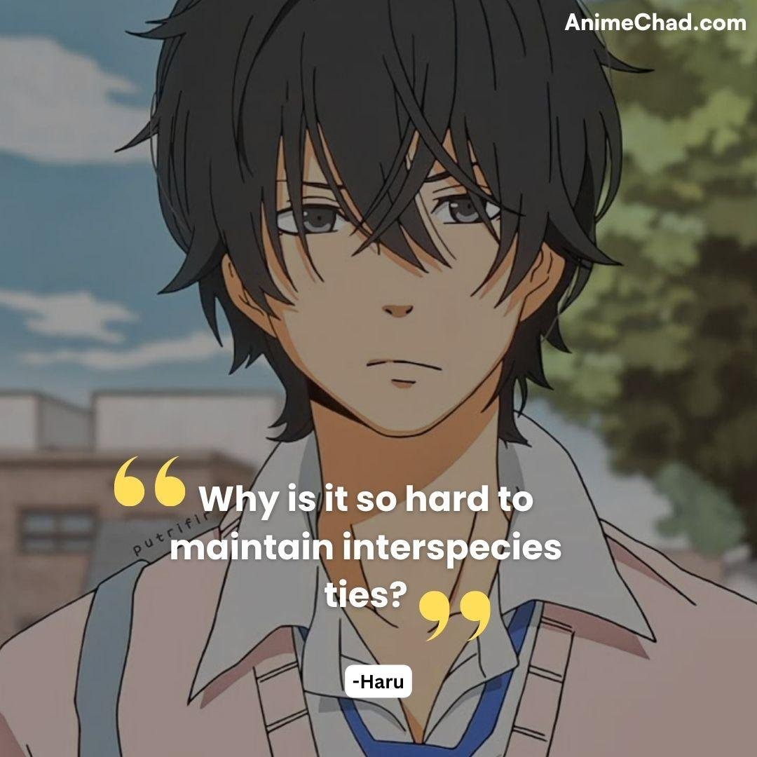 25 Iconic Beastars Quotes That We’ll Never Forget – AnimeChad