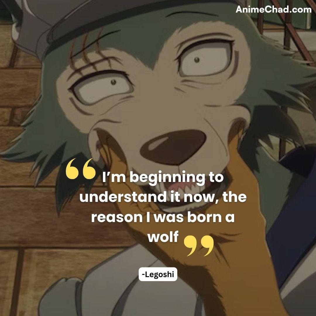 25 Iconic Beastars Quotes That We’ll Never Forget – AnimeChad