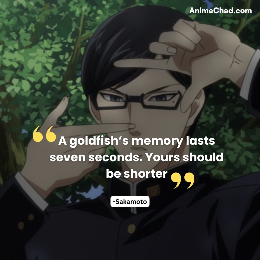 25 Iconic Haven’t You Heard? I’m Sakamoto Quotes That We’ll Never ...