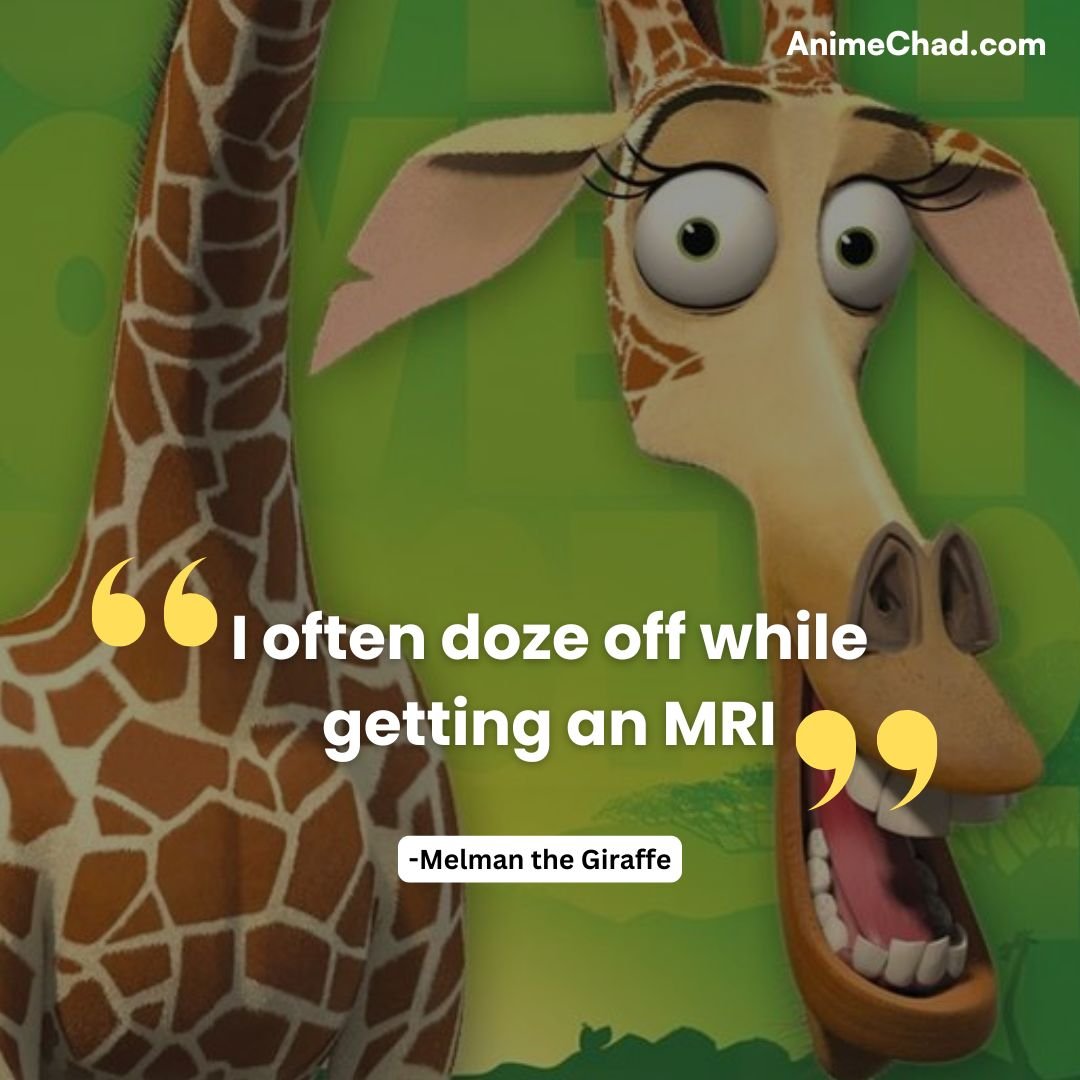 25 Iconic Madagascar Quotes That We’ll Never Forget – AnimeChad