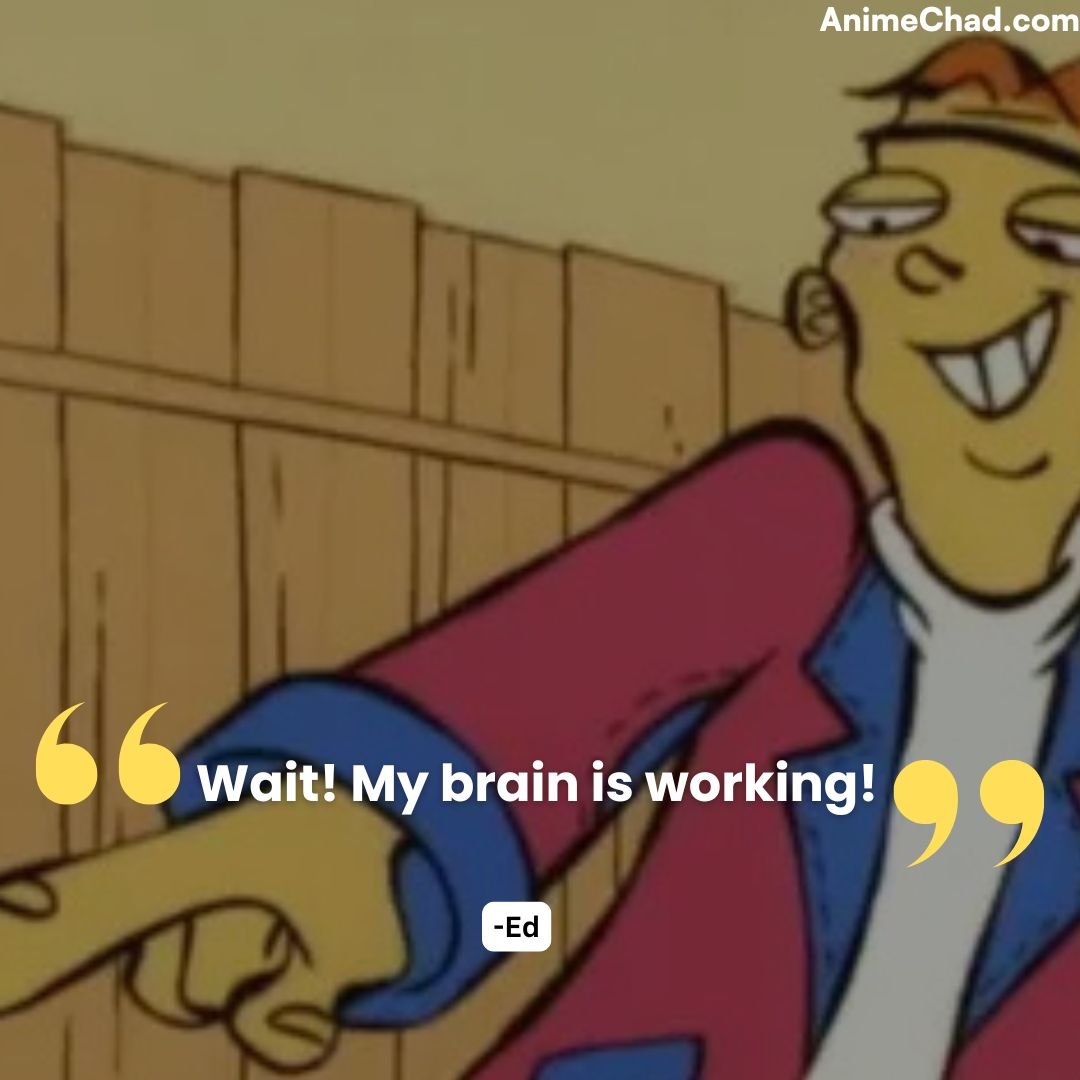 25 Iconic Ed, Edd n Eddy Quotes That We’ll Never Forget – AnimeChad