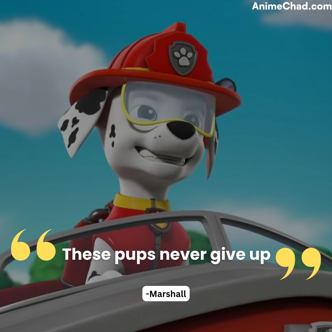 25 Iconic PAW Patrol Quotes That We’ll Never Forget – AnimeChad