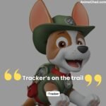 25 Iconic PAW Patrol Quotes That We’ll Never Forget – AnimeChad