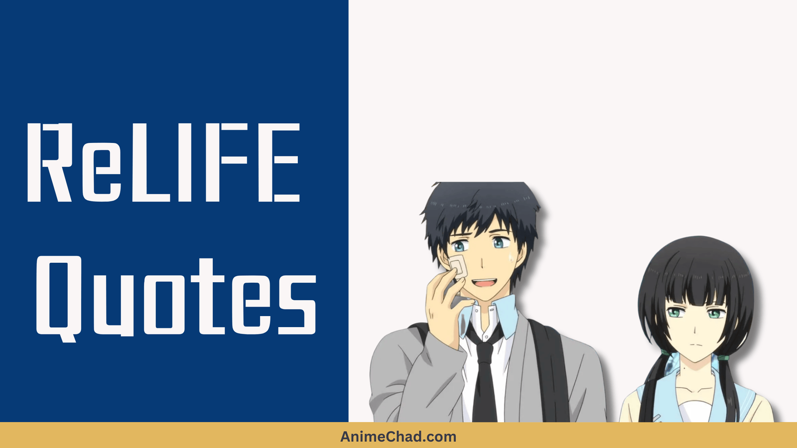 25 Iconic Spy x Family Quotes That We’ll Never Forget – AnimeChad